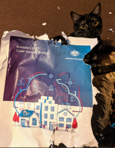 Cyber Security! – Gingercatsoftware